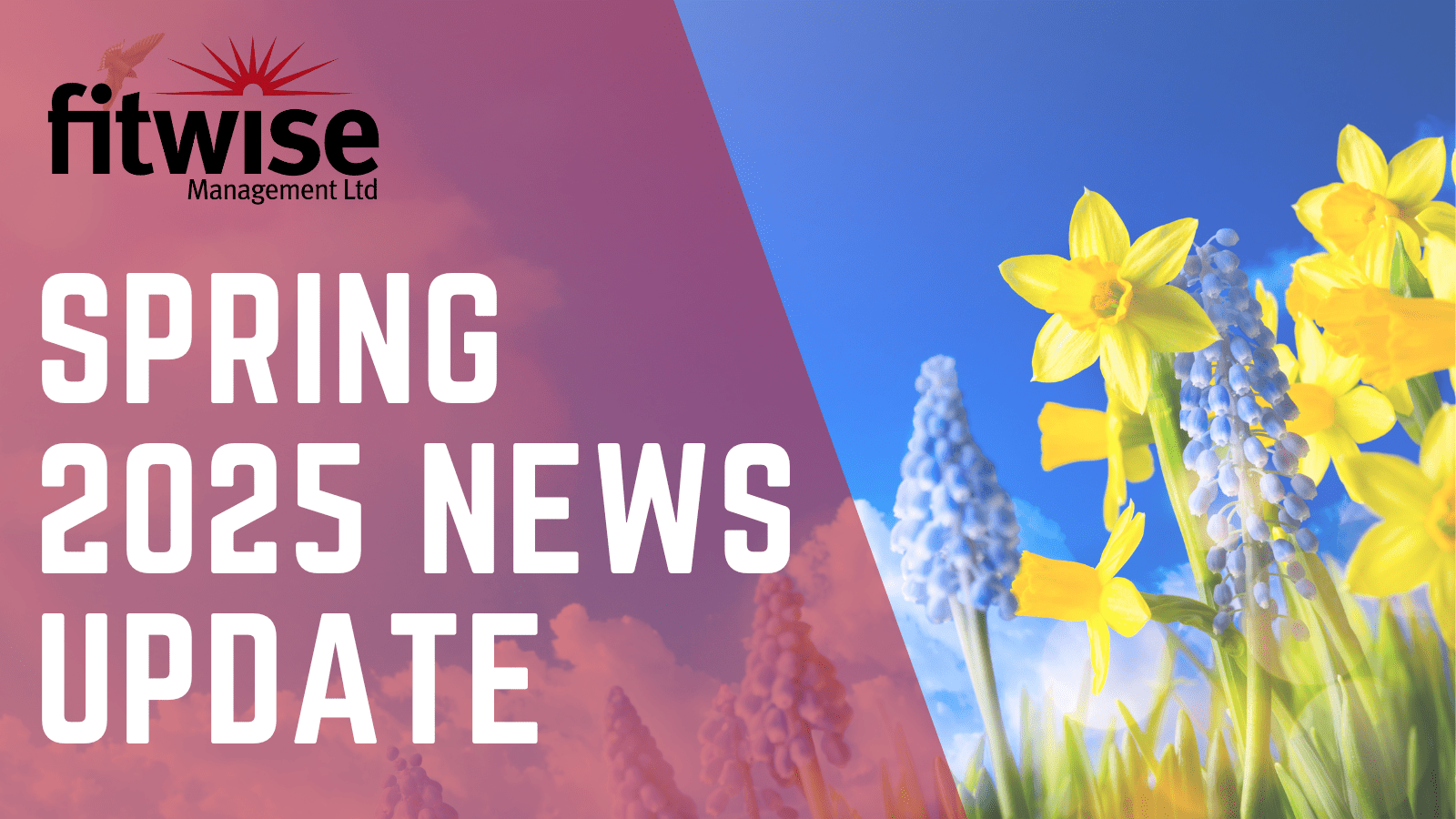 Fitwise Spring Update 2025 - Fitwise