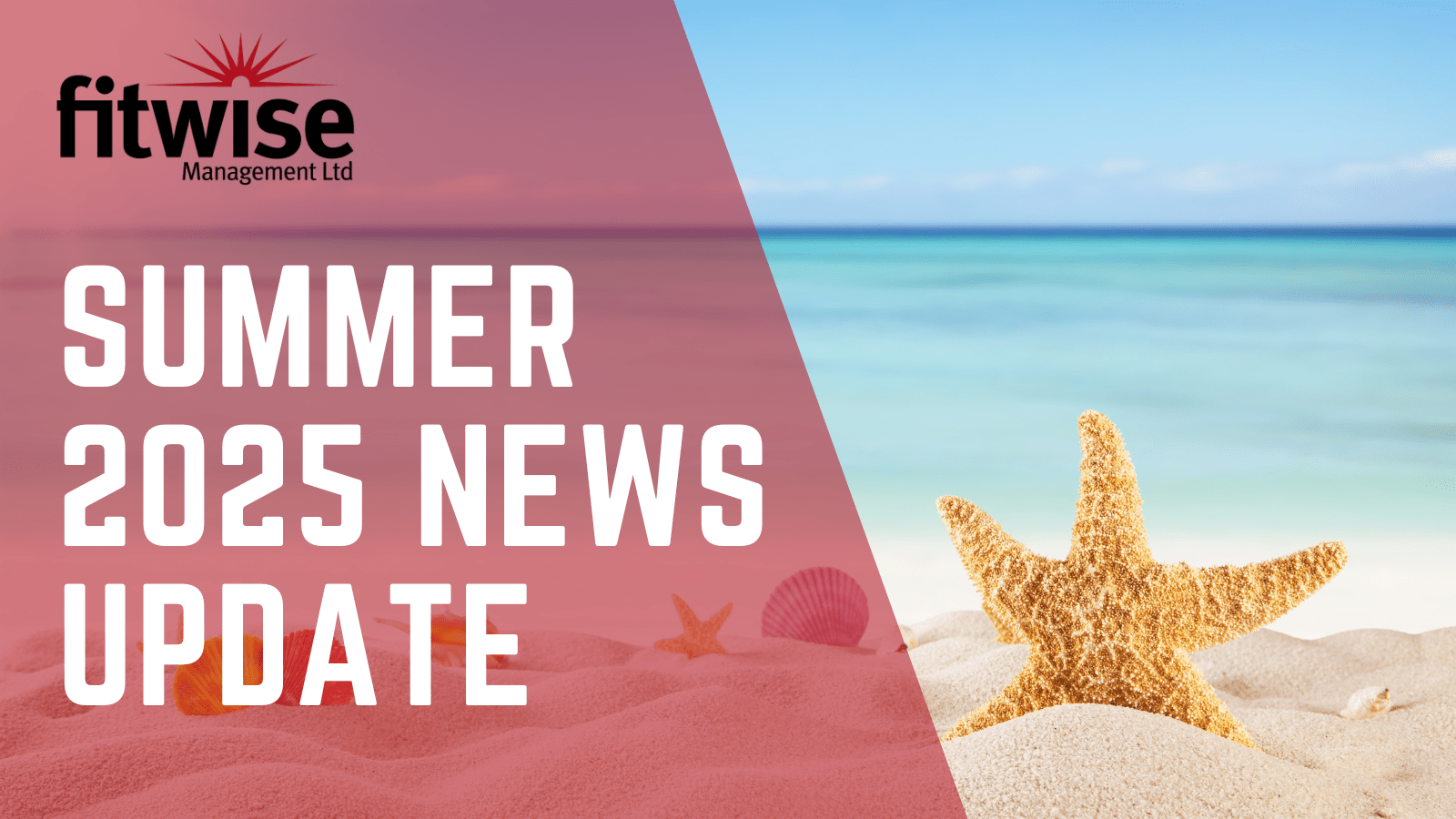 Fitwise Summer Update 2025 - Fitwise