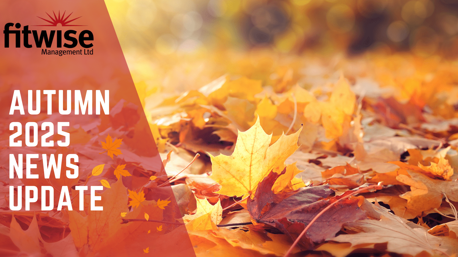 FITWISE AUTUMN UPDATE 2025 - Fitwise