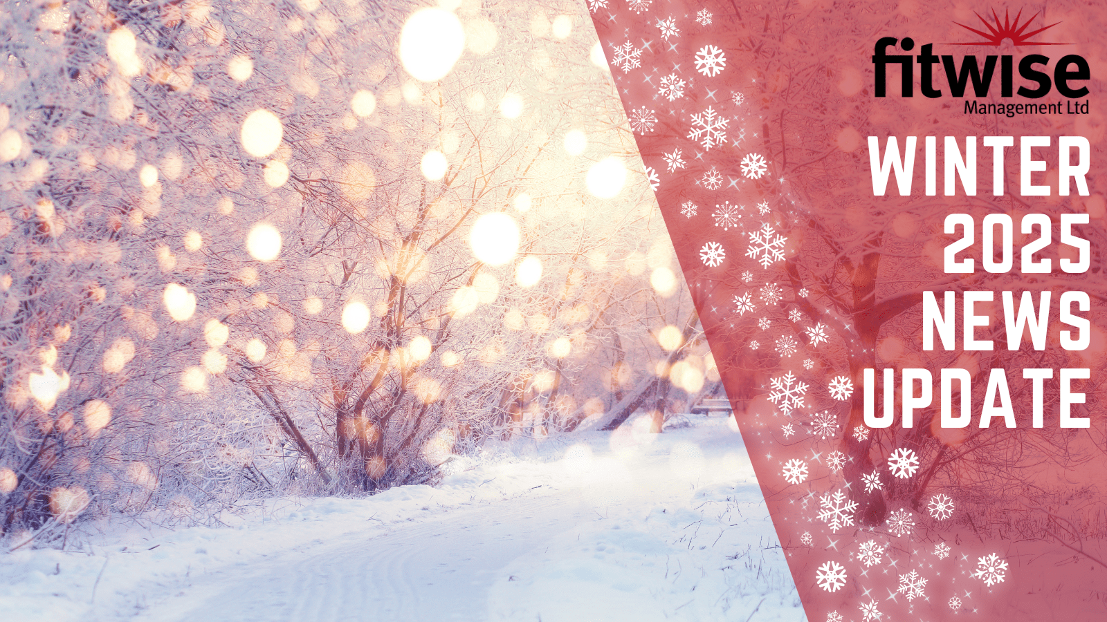 Fitwise Winter Update 2025 - Fitwise